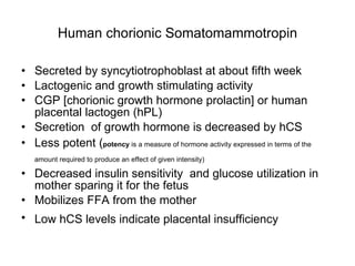 Placenta as an endocrine organ | PPT