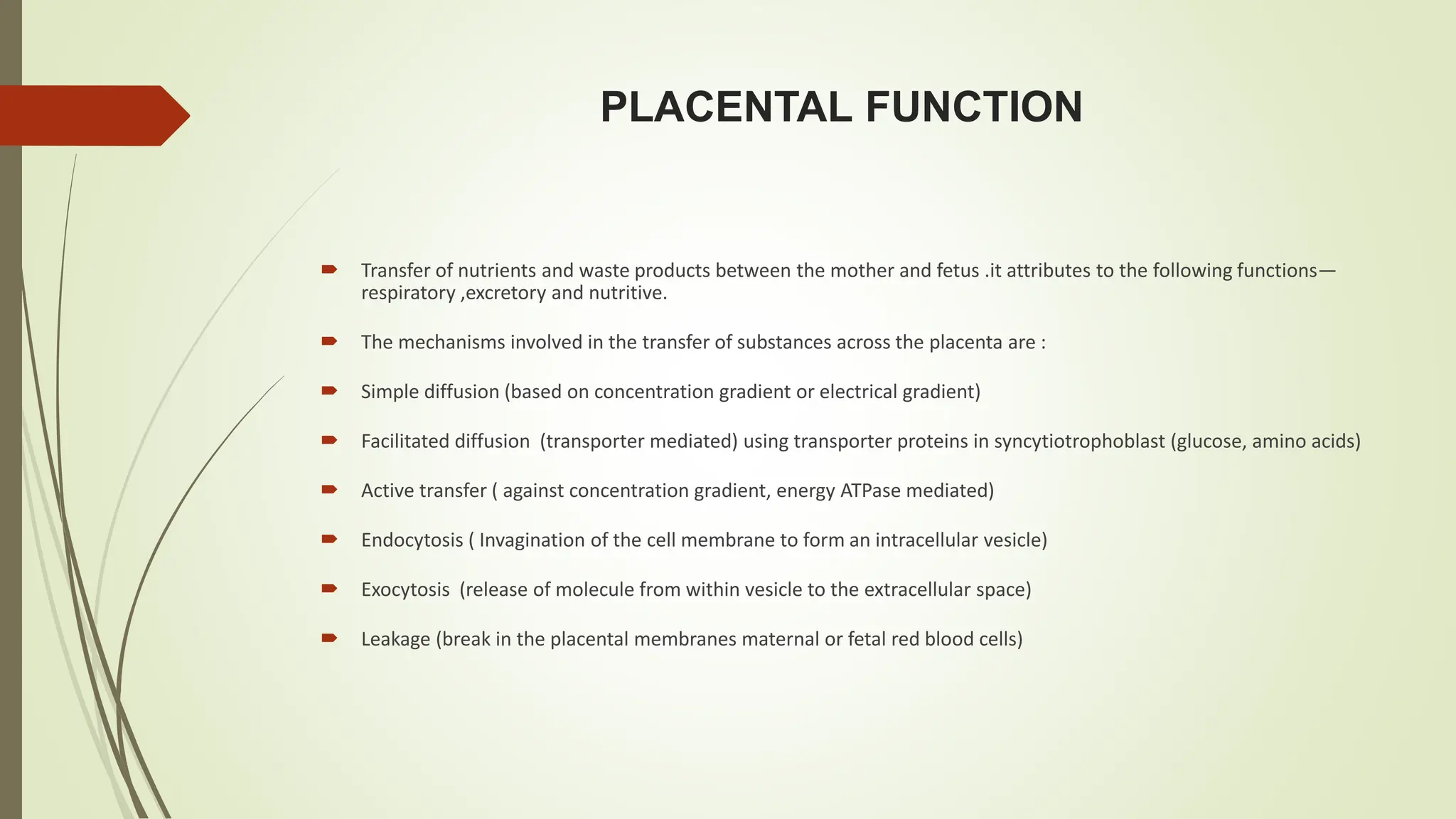 PLACENTA AT TERM PPT for third year GNM student | PPTX