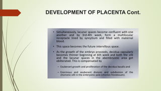 PLACENTA AT TERM PPT for third year GNM student | PPTX
