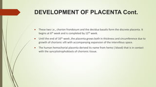 PLACENTA AT TERM PPT for third year GNM student | PPTX