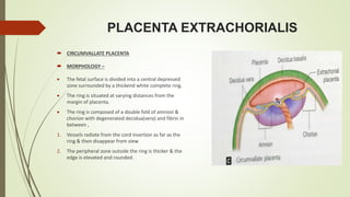 PLACENTA AT TERM PPT for third year GNM student | PPT