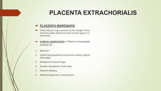 PLACENTA AT TERM PPT for third year GNM student | PPT
