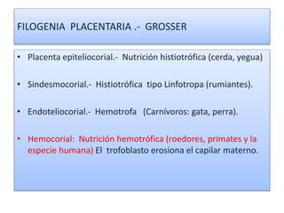 Placenta carvajal urquieta | PPTX