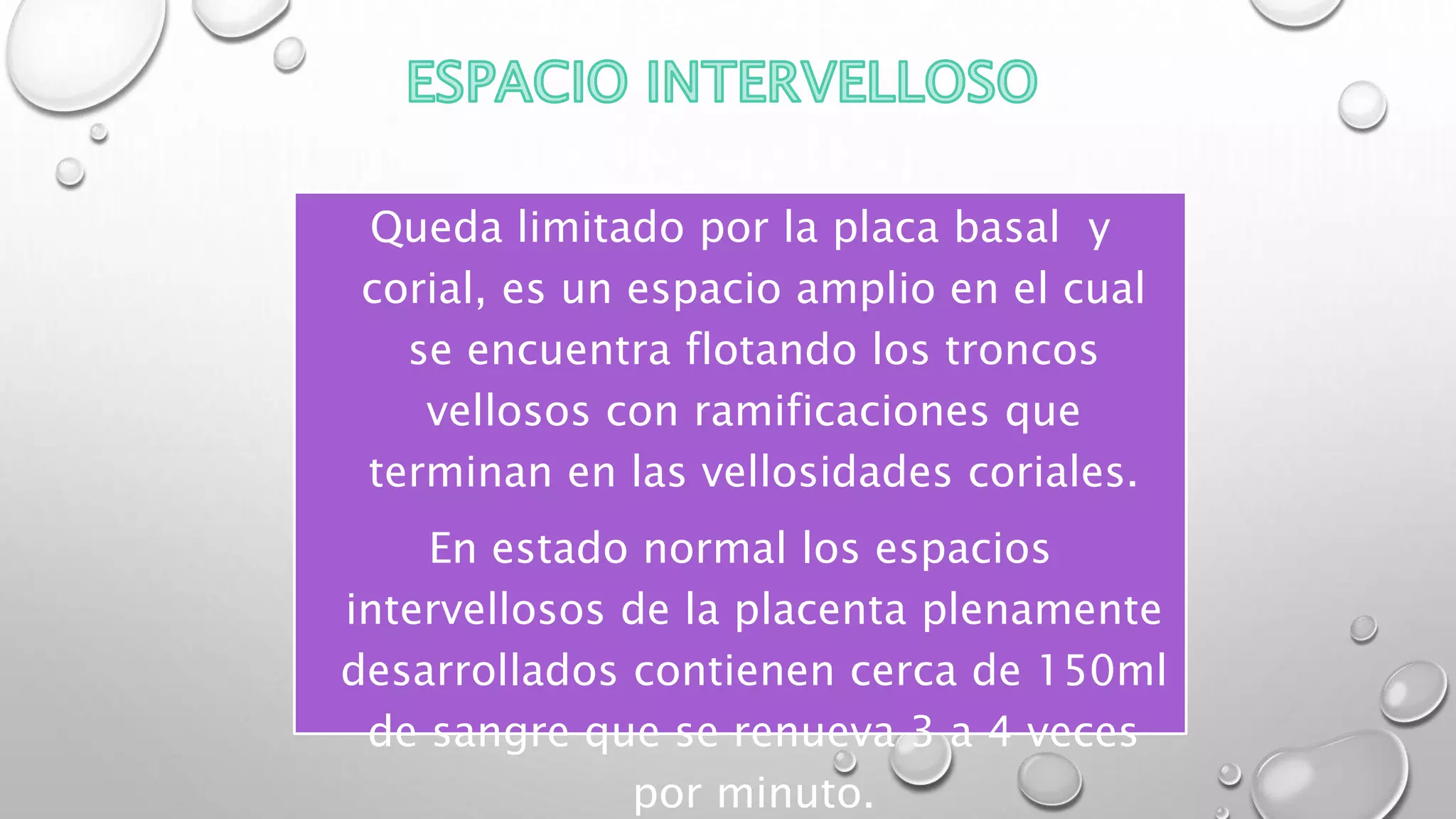 Placentación Cordón Umbilical Y Liquido Amniótico Ppt