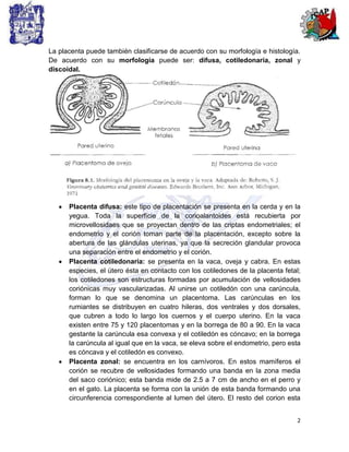 Placentación de los animales domesticos | DOCX