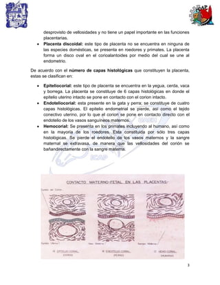 Placentación de los animales domesticos | DOCX