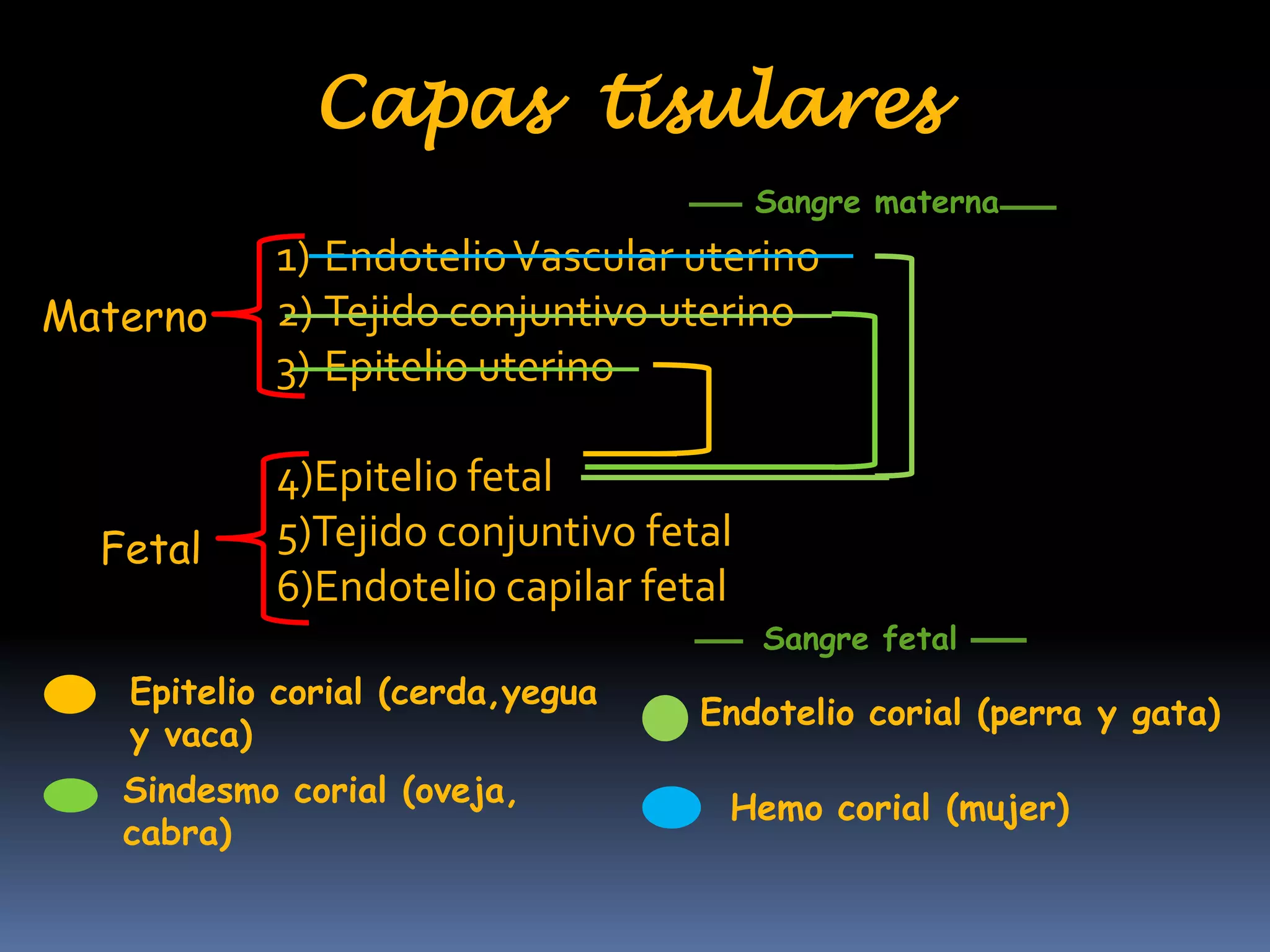 Placentacion en animales de domesticos | PDF