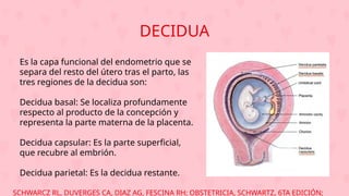 Placentación y generalidades de la placenta.pptx.pptx