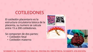 Placentación y generalidades de la placenta.pptx.pptx