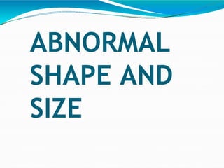 Placenta and cord abnormality | PPTX