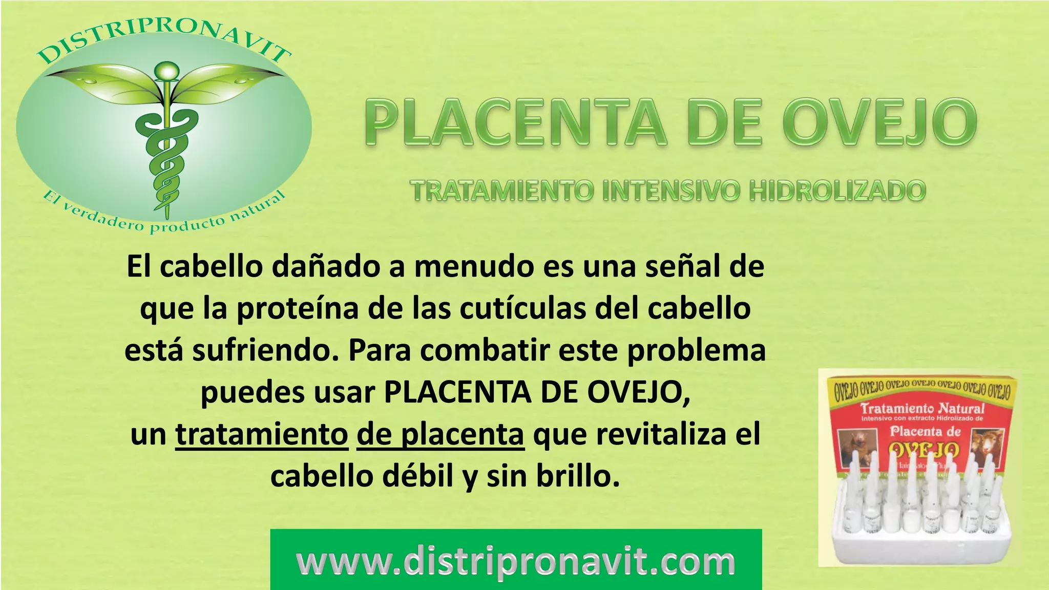Placenta de ovejo | PPT