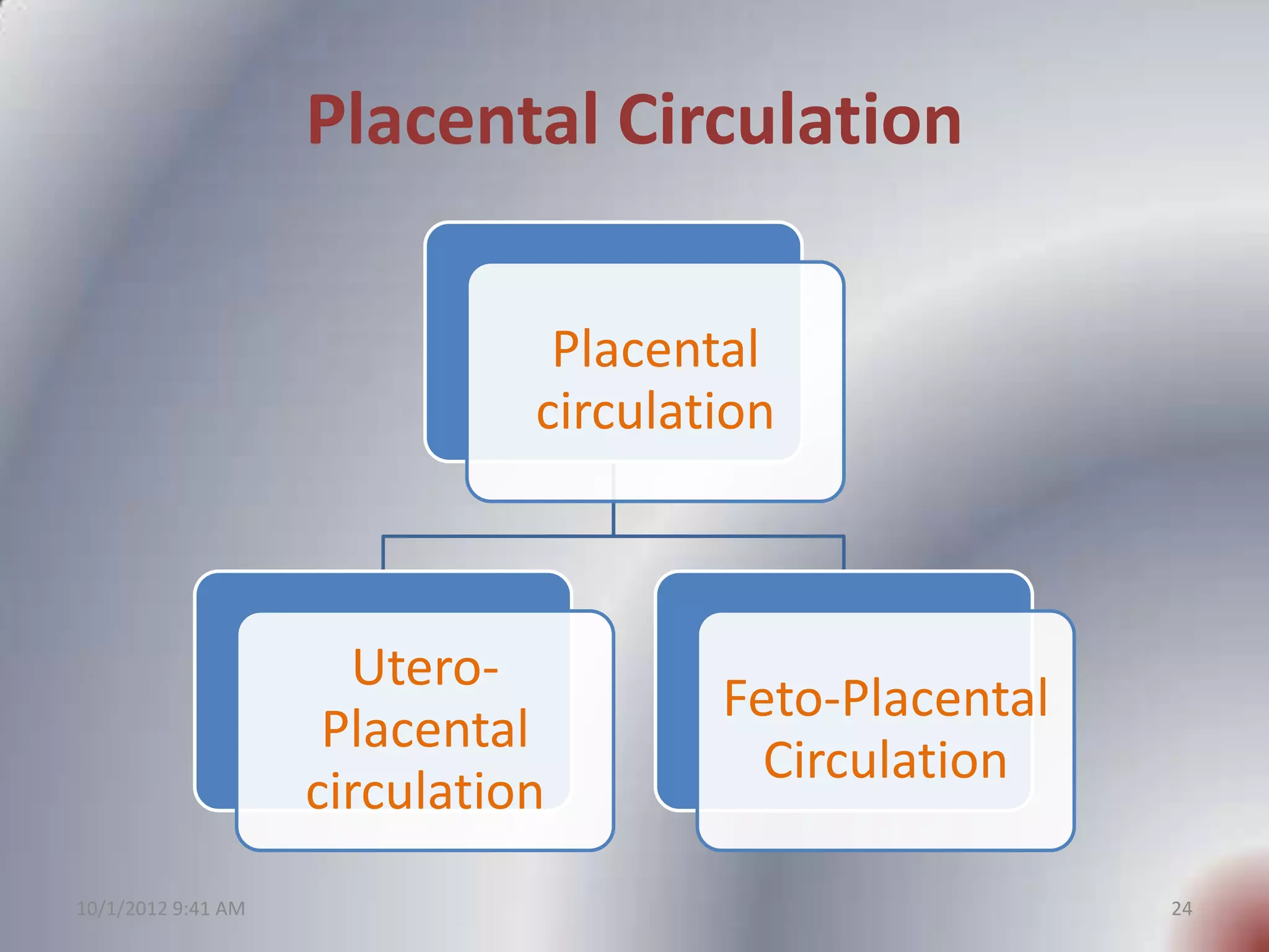 Placenta development | PPTX