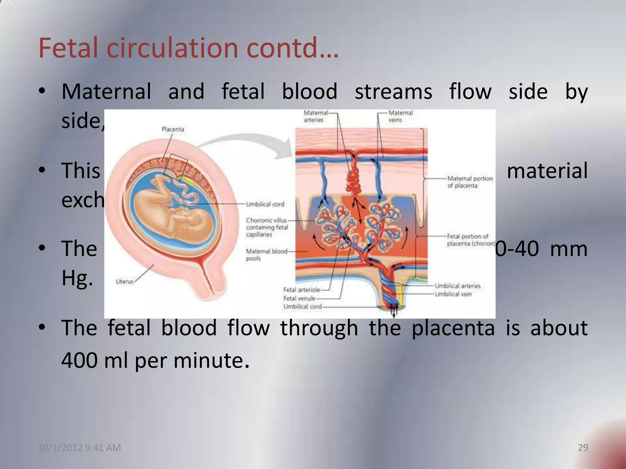 Placenta development | PPTX | Pregnancy | Reproductive Health