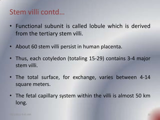 Placenta development | PPTX