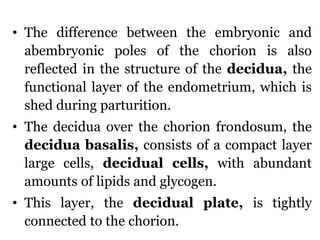 Placenta Development ppt By Zeki PH 2016.pptx