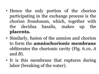 Placenta Development ppt By Zeki PH 2016.pptx
