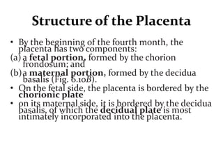 Placenta Development ppt By Zeki PH 2016.pptx