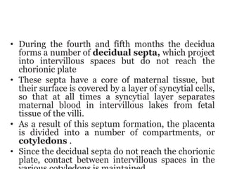 Placenta Development ppt By Zeki PH 2016.pptx