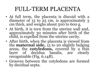 Placenta Development ppt By Zeki PH 2016.pptx