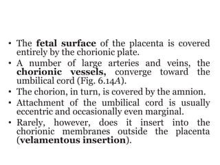 Placenta Development ppt By Zeki PH 2016.pptx