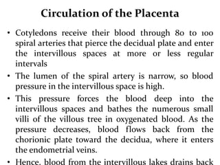 Placenta Development ppt By Zeki PH 2016.pptx
