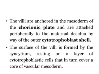 Placenta Development ppt By Zeki PH 2016.pptx