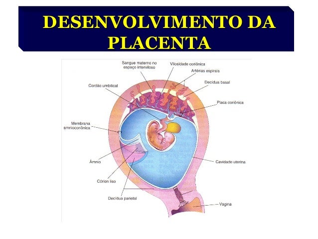 Placenta e membranas cap08