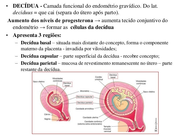Placenta e membranas cap08
