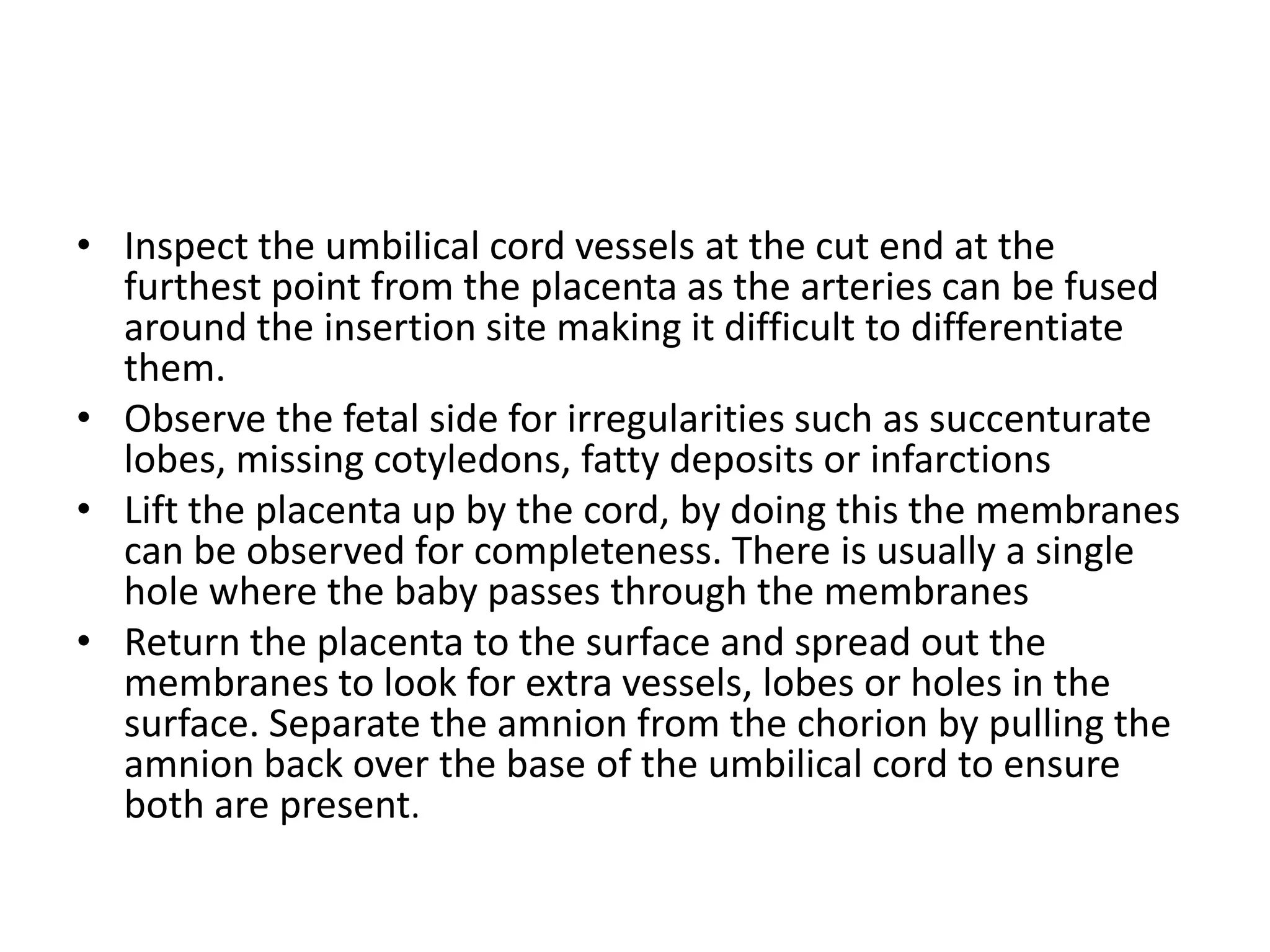 Placenta examination | PDF