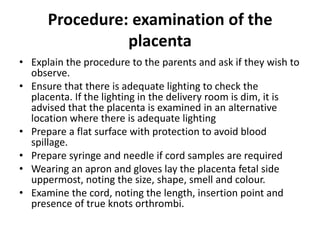 Placenta examination | PDF