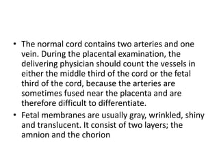 Placenta examination | PDF