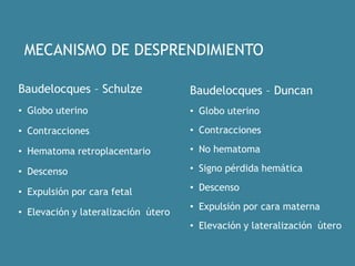 Placenta | PPTX