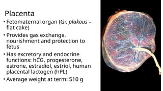 Placenta and Gestational Trophoblastic Disease Lecture.pptx