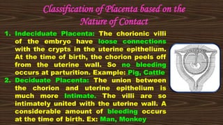Topic: PLACENTA IN MAMMALS - Zoology allied | PDF