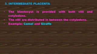 Topic: PLACENTA IN MAMMALS - Zoology allied | PDF