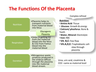 Placenta at term, abnormal placenta and functions of placenta | PDF