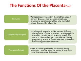 Placenta at term, abnormal placenta and functions of placenta | PDF