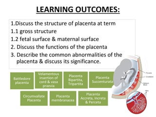 Placenta at term, abnormal placenta and functions of placenta | PDF