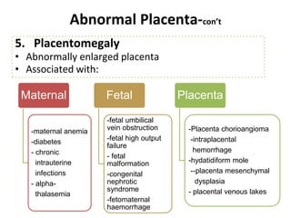 Placenta at term, abnormal placenta and functions of placenta | PDF