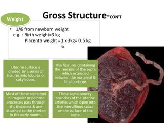 Placenta at term, abnormal placenta and functions of placenta | PDF