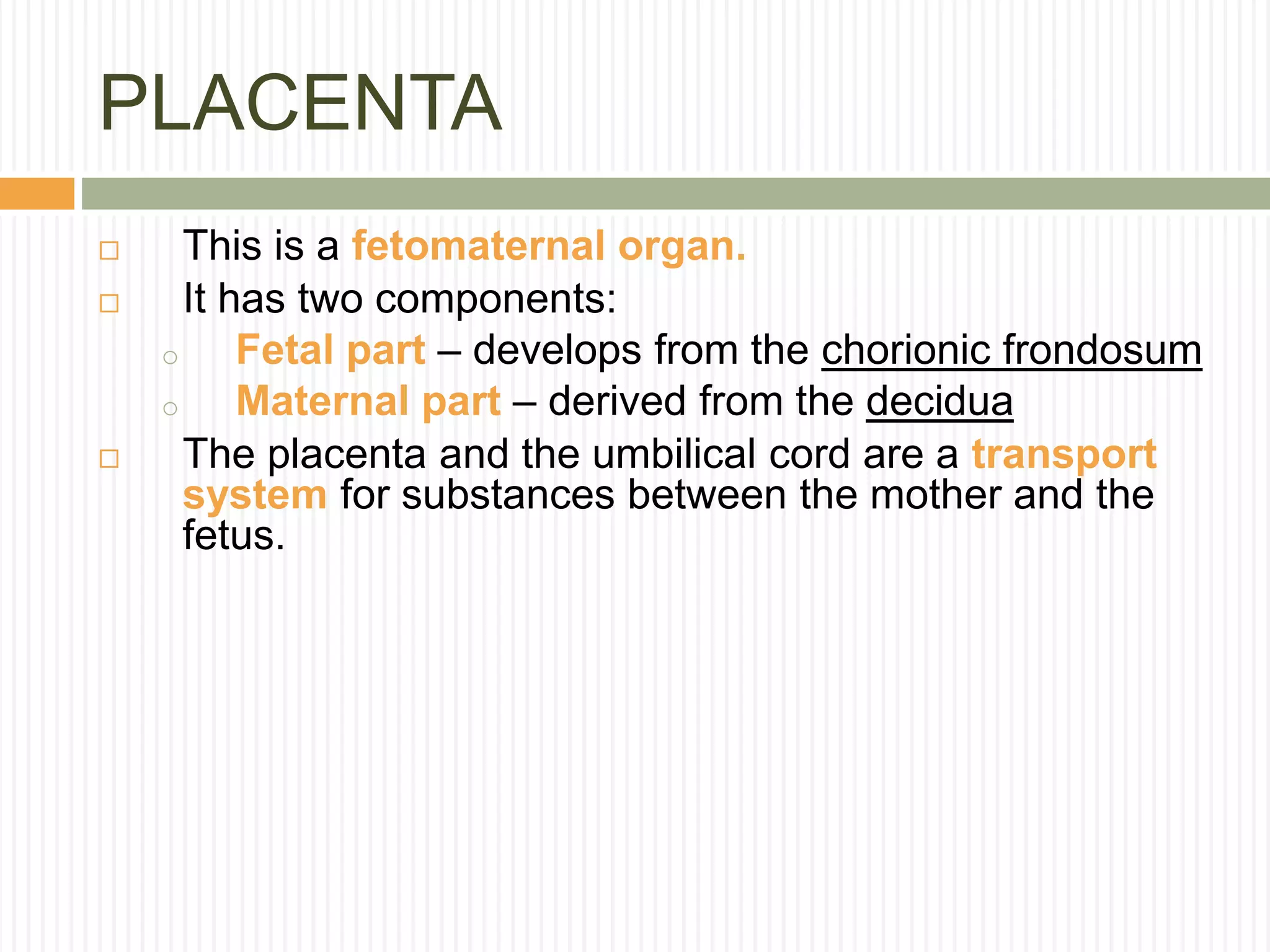 Placenta | PPTX