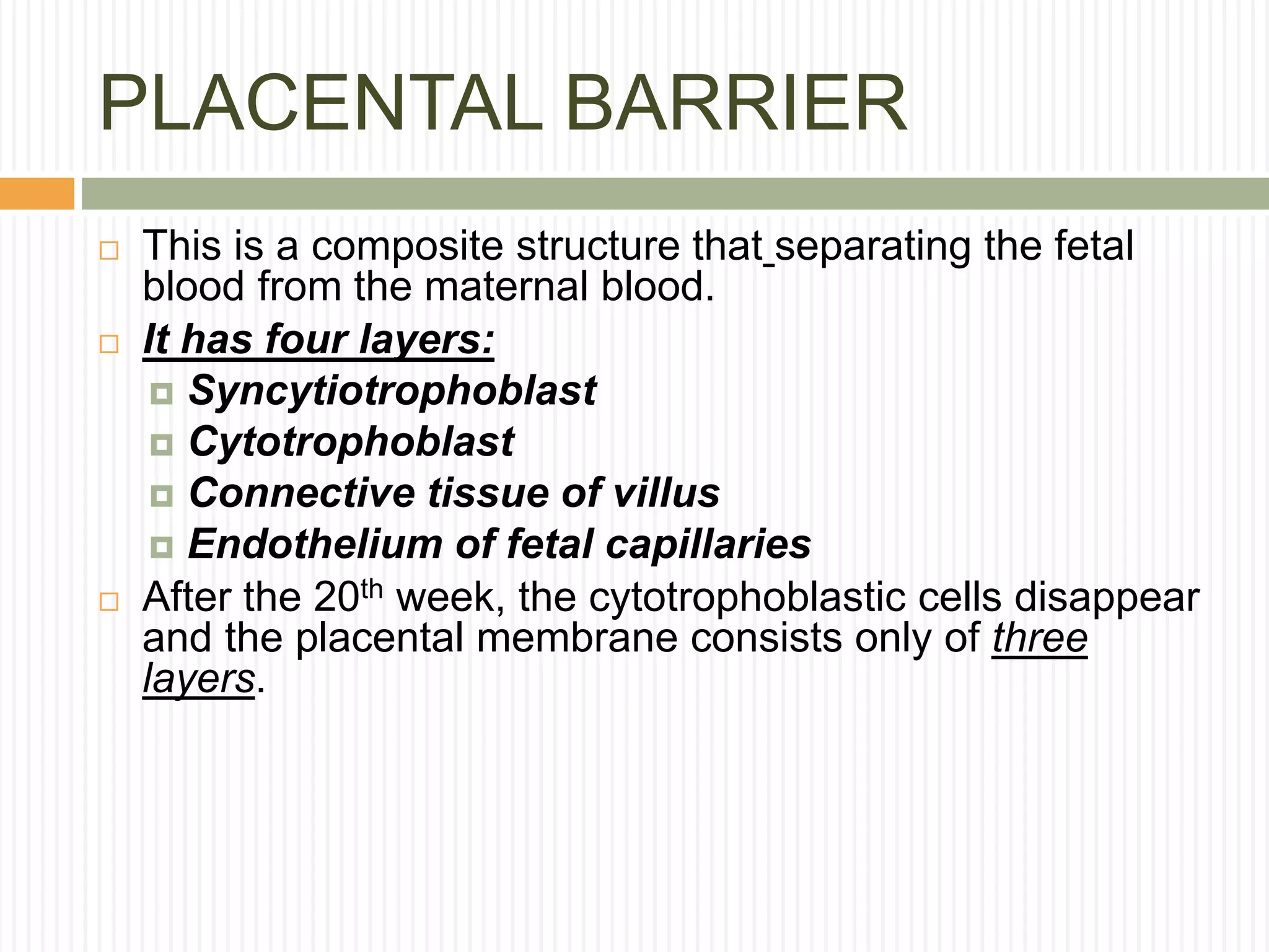 Placenta | PPTX