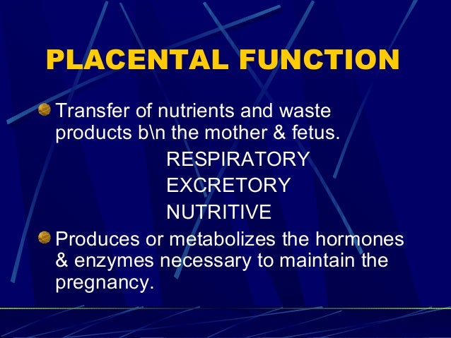 Placental function