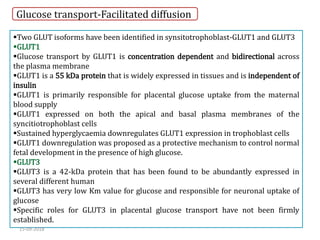 Placental anatomy and its functions | PPTX