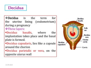 Placental anatomy and its functions | PPTX