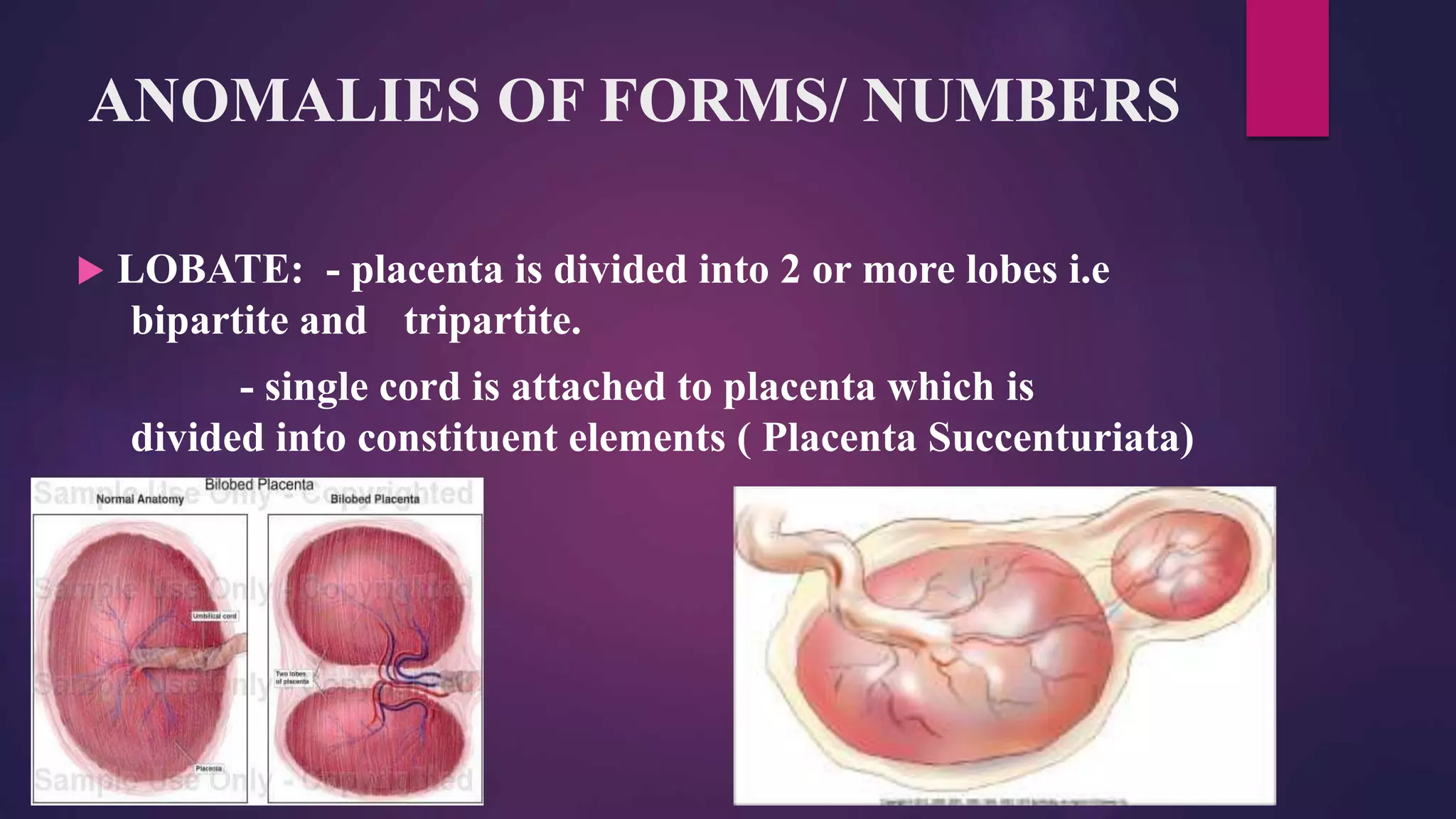 Placental and cord abnormalities | PPTX