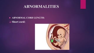 Placental and cord abnormalities | PPTX