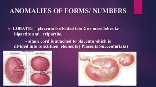 Placental and cord abnormalities | PPTX
