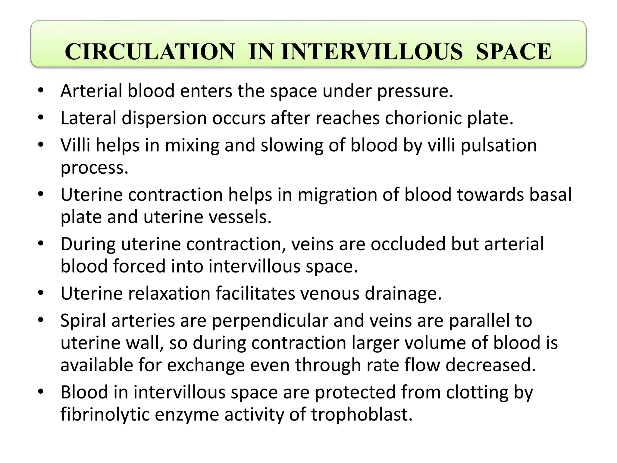 Placental circulation | PPTX