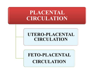Placental circulation | PPTX